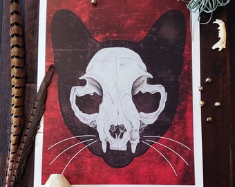 Curiosity Cat Poster - Etsy