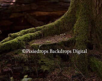 Newborn Digital Prop Moss Covered Tree Stump with Moss | Etsy