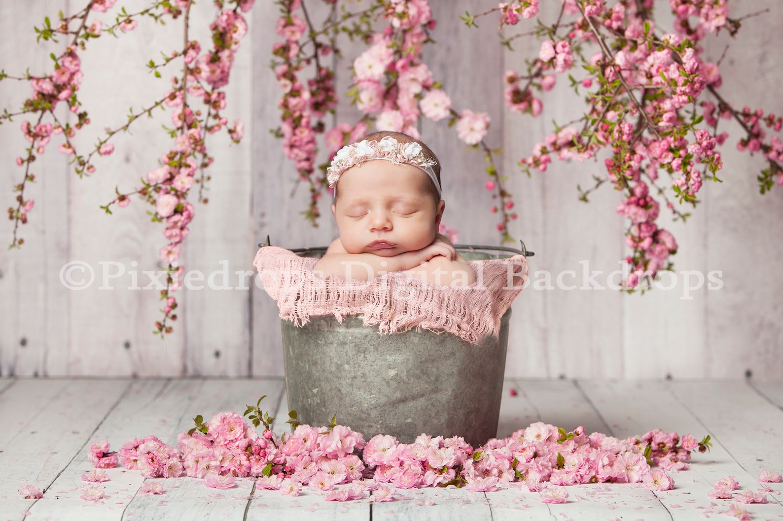 Spring Newborn Backdrop and Newborn Digital Backdropspring - Etsy