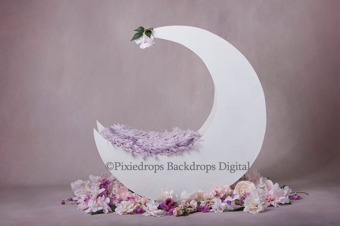 Newborn Moon Prop Digital Backdrop Newborn Digital Prop | Etsy