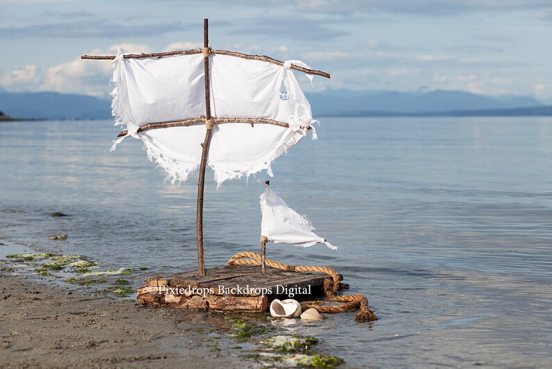 Digital Backdrops/props reclaimed Wood Raft Washed up on a - Etsy