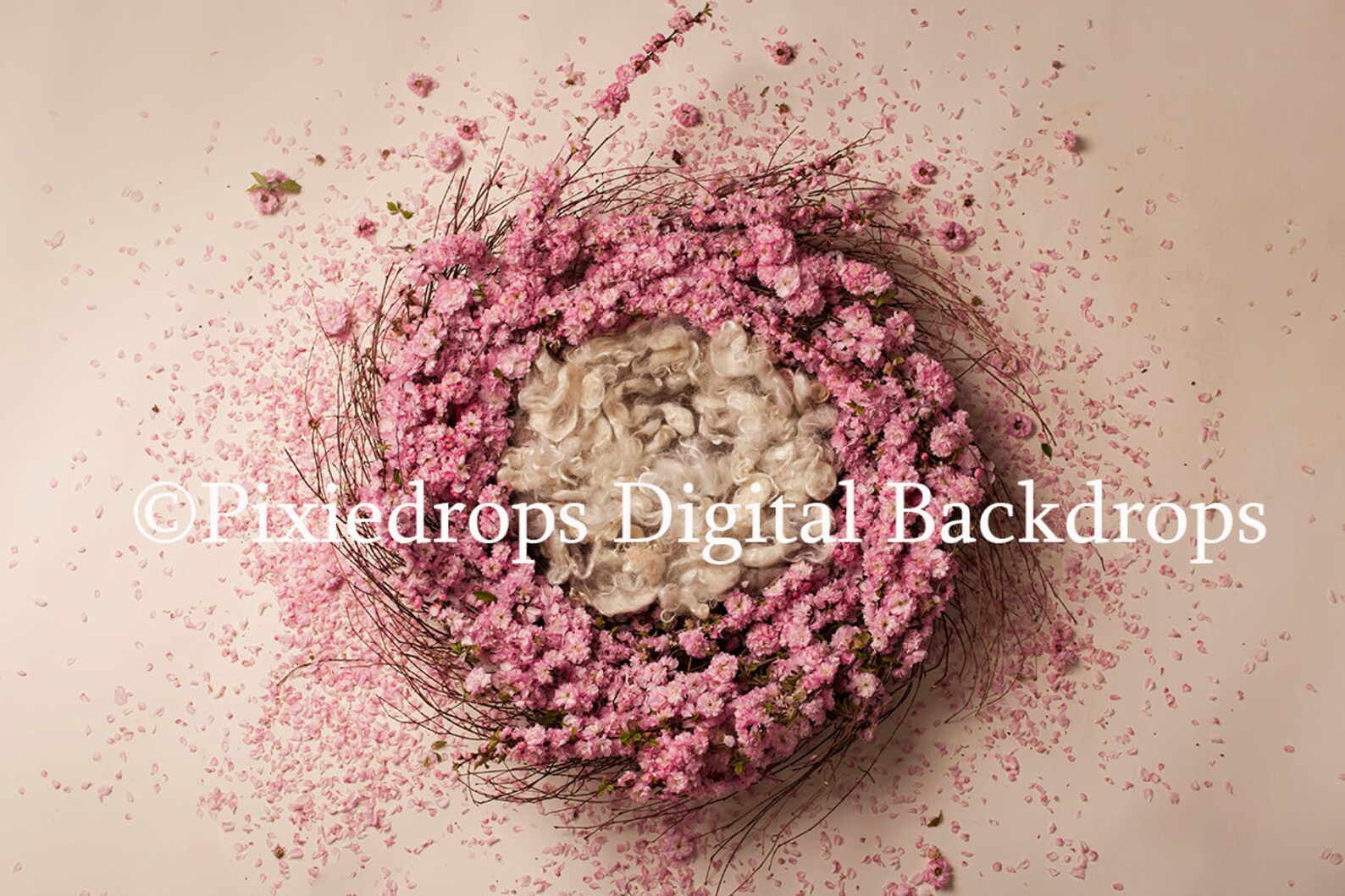 Spring Digital Download Spring Prop Spring Newborn Prop | Etsy