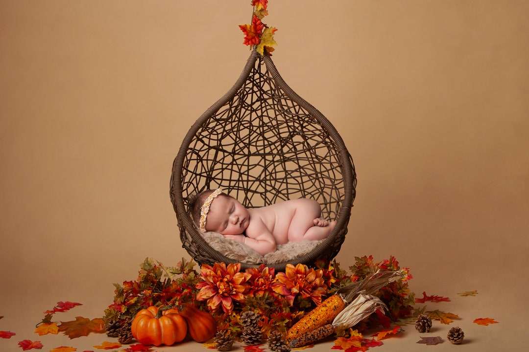 Newborn Fall Backdrop, Hanging Basket Newborn Autumn Backdrop, Newborn ...