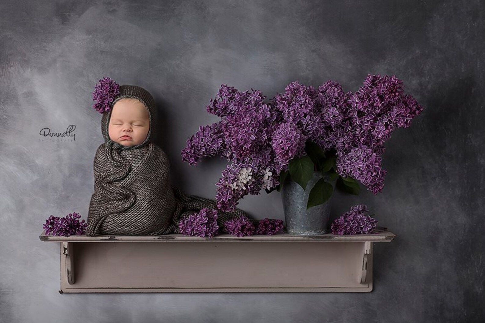 Lilac Digital Backdrop Digital Backdrop Spring Digital - Etsy