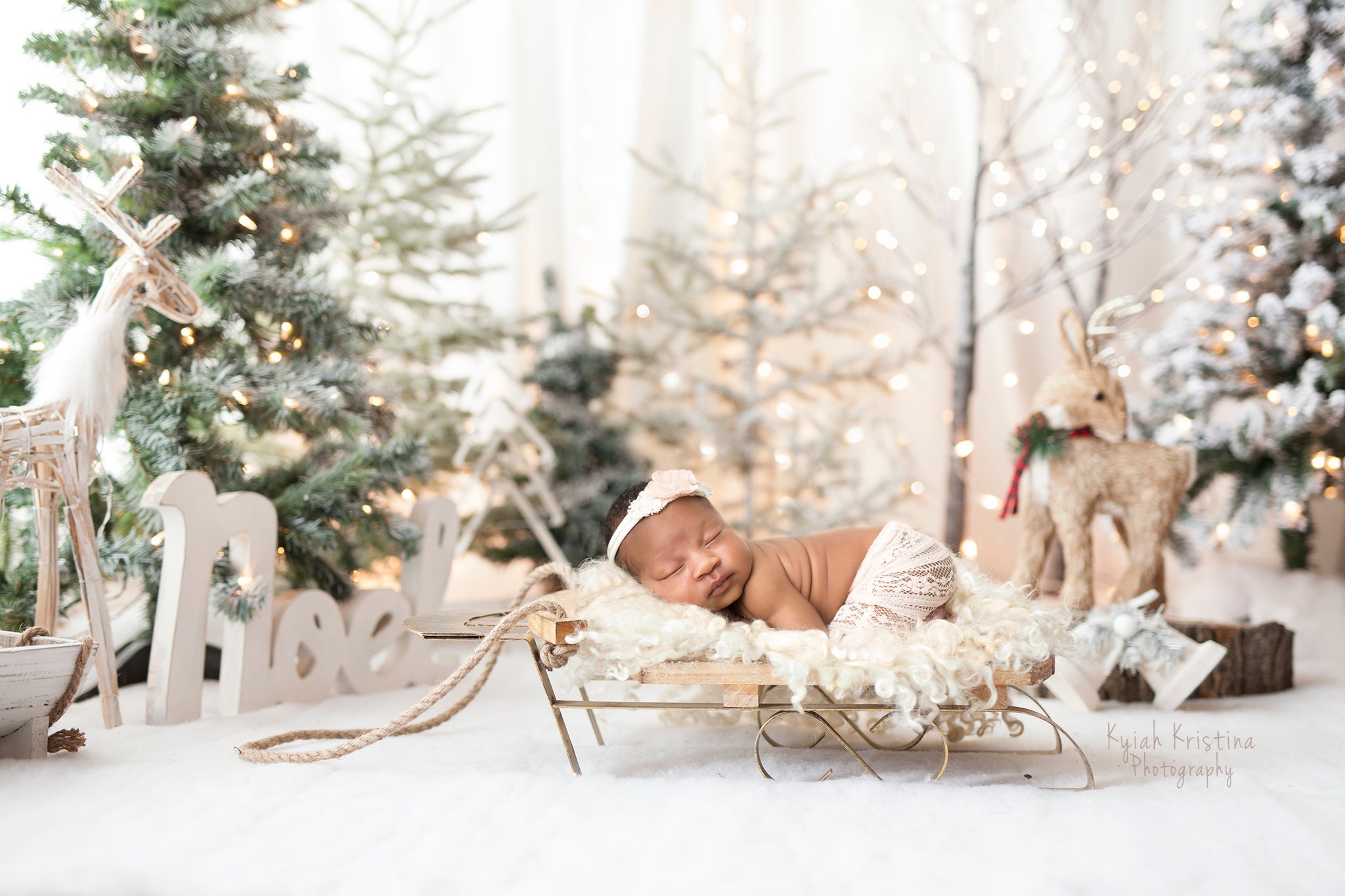 Christmas digital backdrop snowy sleigh download pine trees | Etsy