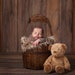Teddy Bear Newborn Prop, Teddy Bear Newborn Digital Backdrop, Newborn ...