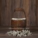 Digital Backdrops/props (newborn Prop. Antique Bucket Prop With Large ...