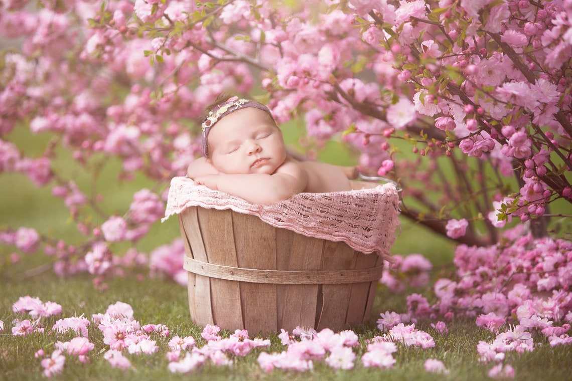 Newborn Digital Backdrop Spring Digital Download Spring - Etsy