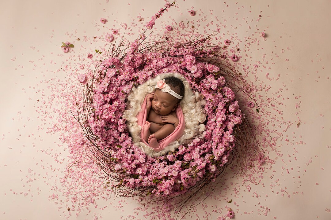 Spring Digital Download, Spring Prop, Spring Newborn Prop, Digital ...