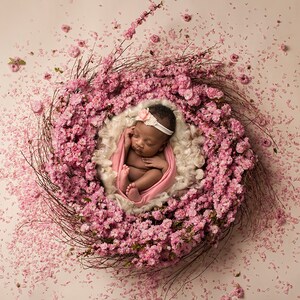 Spring Digital Download, Spring Prop, Spring Newborn Prop, Digital ...