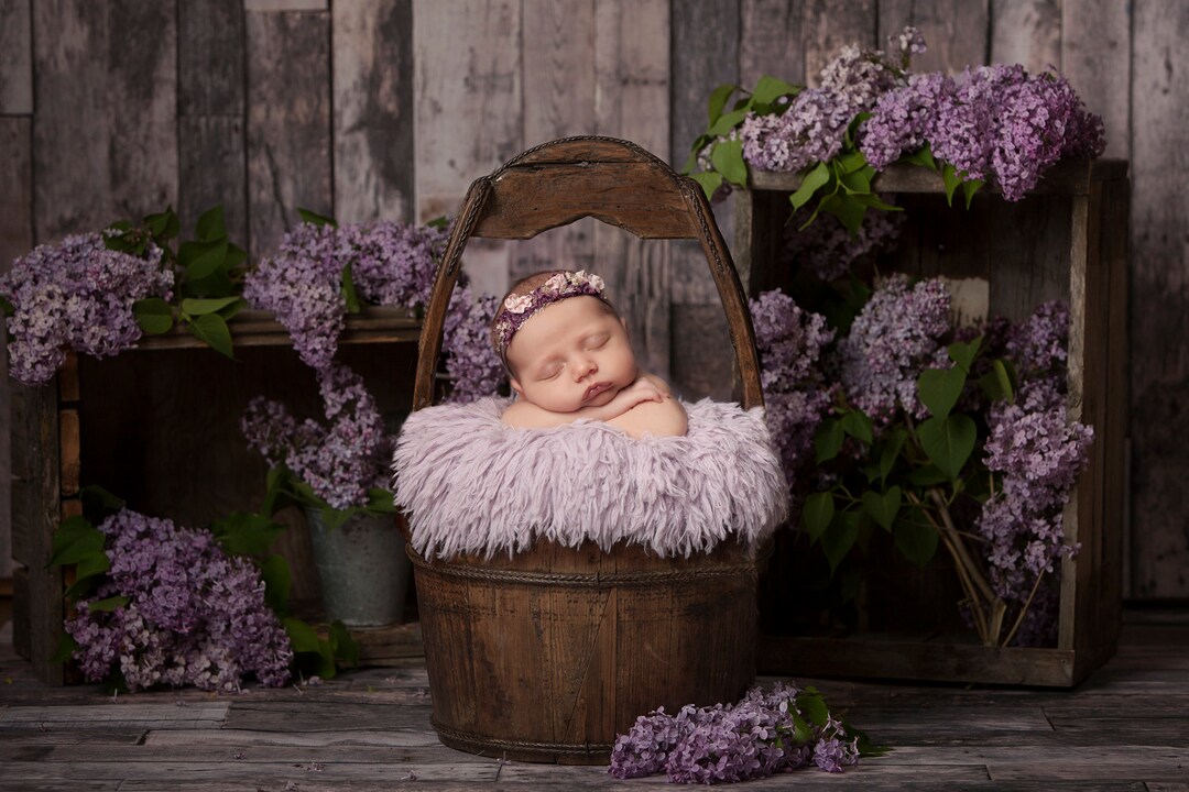 Spring Digital Download, Spring Prop, Spring Newborn Prop, Digital ...
