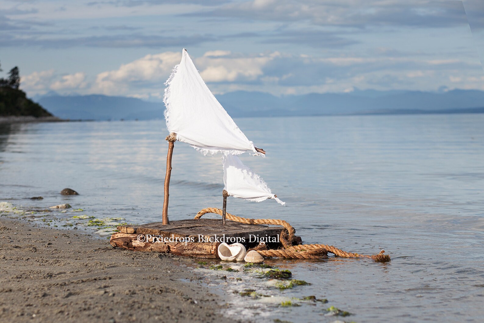 Digital Backdrops/props reclaimed Wood Raft Washed up on a | Etsy