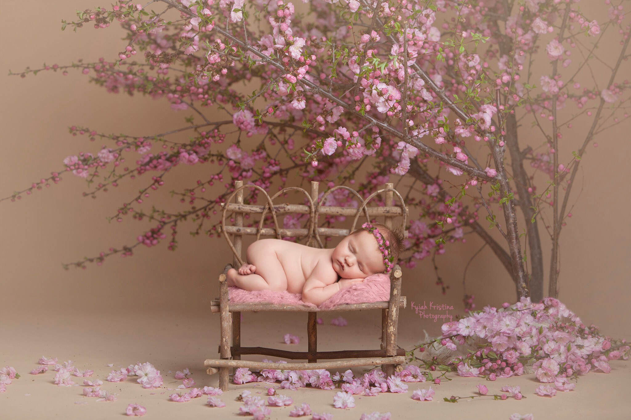 Spring Newborn Backdrop Newborn Digital Backdrop Spring - Etsy