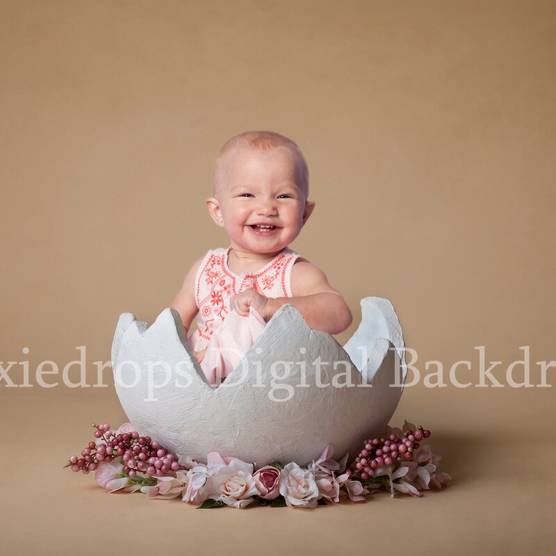 Egg Photography - Etsy UK
