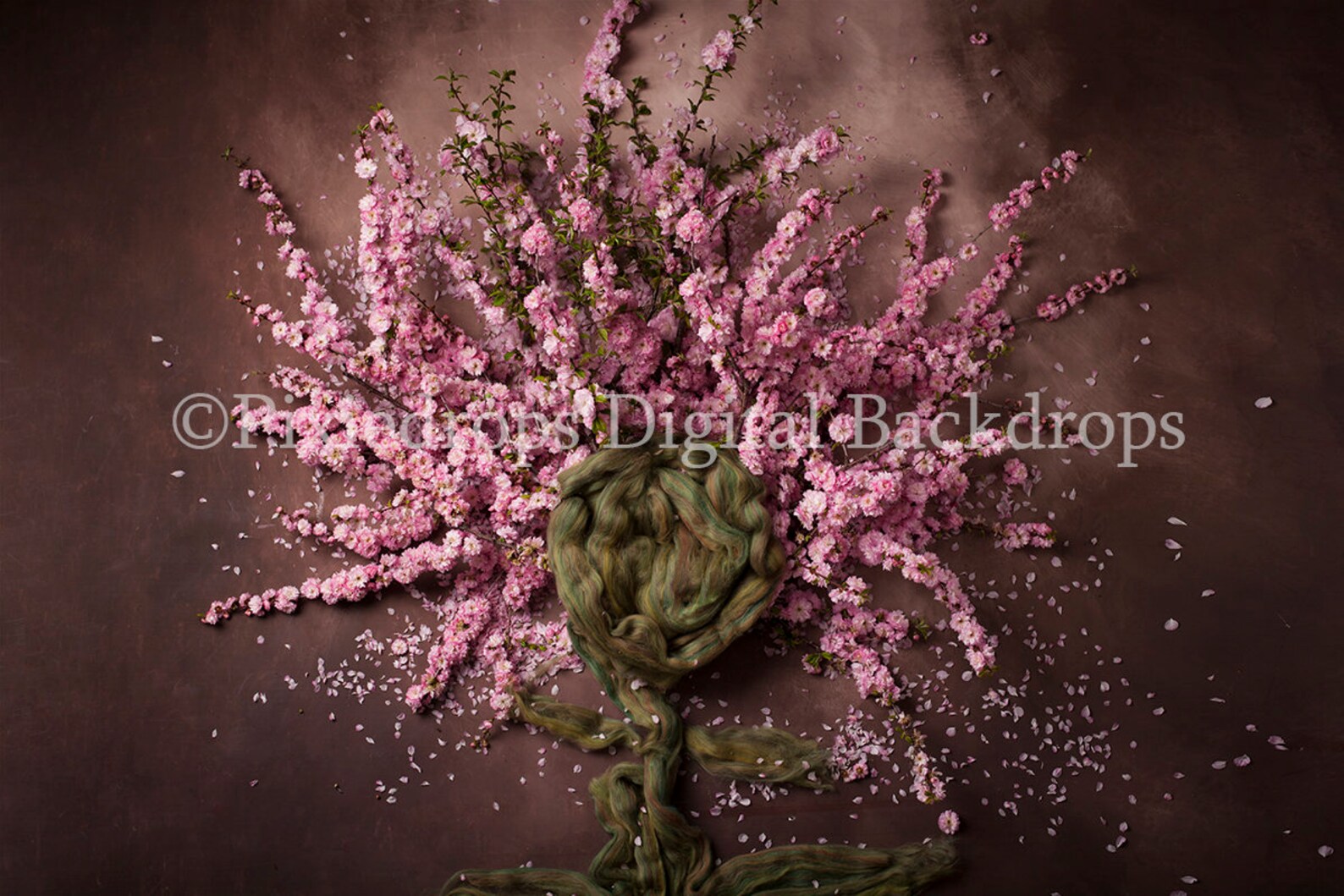 Spring Digital Download Spring Prop Spring Newborn Prop | Etsy