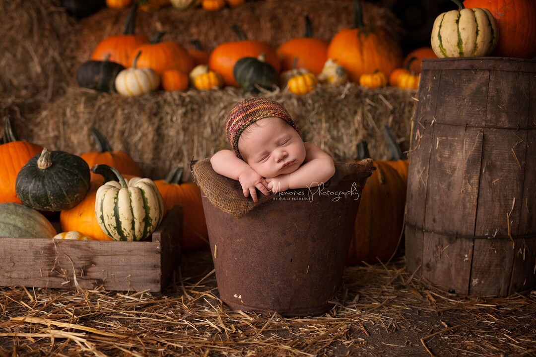 Newborn Halloween Digital Backdrop, Newborn Pumpkin Patch Newborn ...