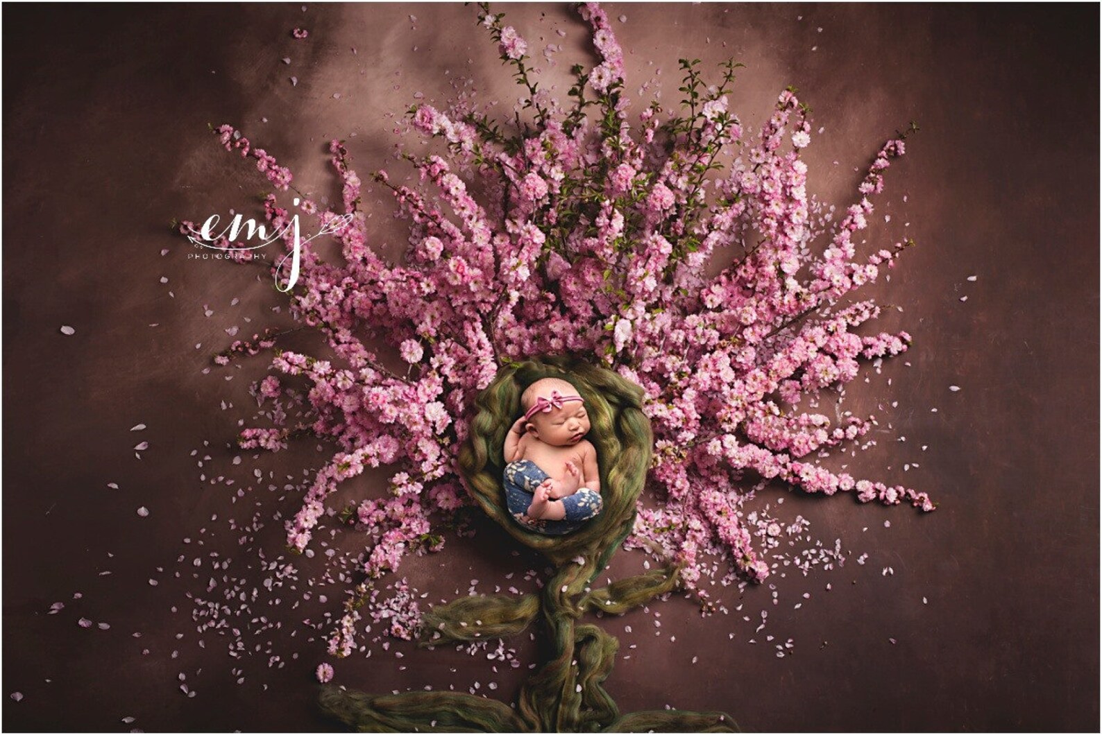 Spring Digital Download, Spring Prop, Spring Newborn Prop, Digital ...