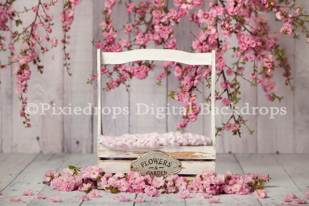 Spring Newborn Backdrop and Newborn Digital Backdrop, Spring Prop ...