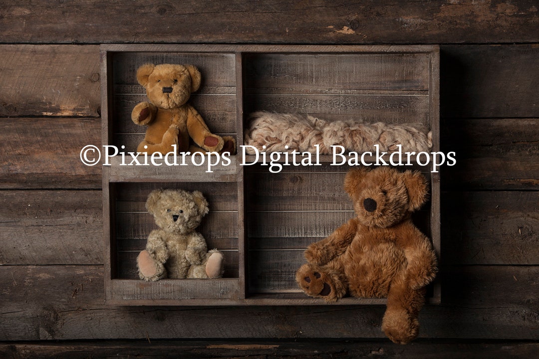 Newborn Digital Backdrop, Bear Digital Backdrop, Teddy Bear Backdrop ...