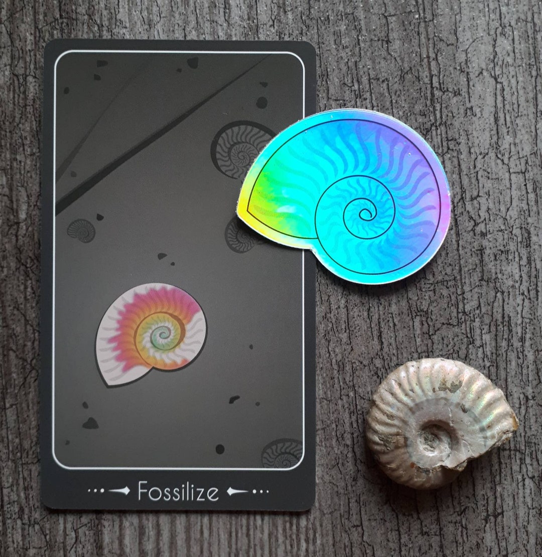 Ammonite Holographic Sticker - Etsy