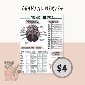 Cranial Nerves Explained Study Guide for Healthcare Professional ...