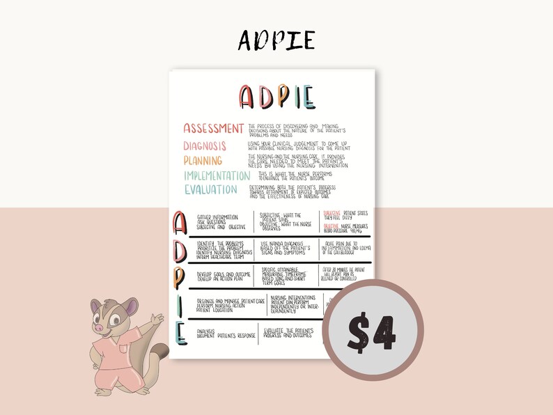 The Nursing Process: ADPIE - Etsy