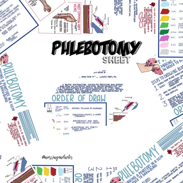 Phlebotomy Study Guide - Etsy