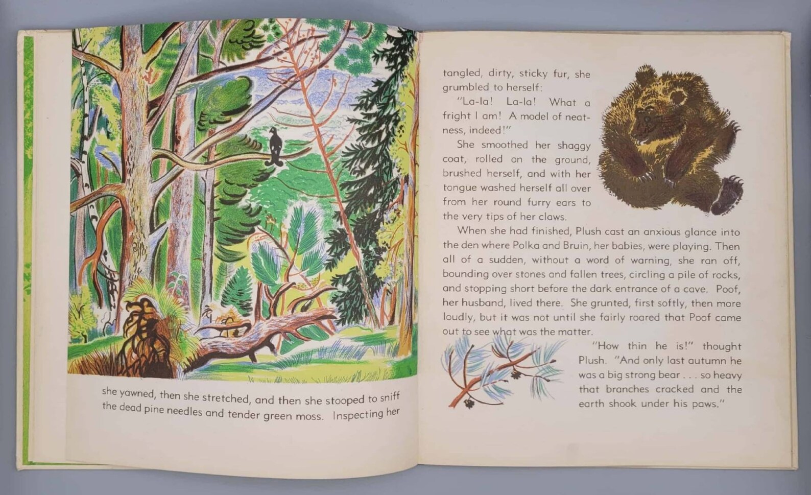 Lida, Bruin the Brown Bear, Rare Vintage 1st Edition Book W/ Dust ...