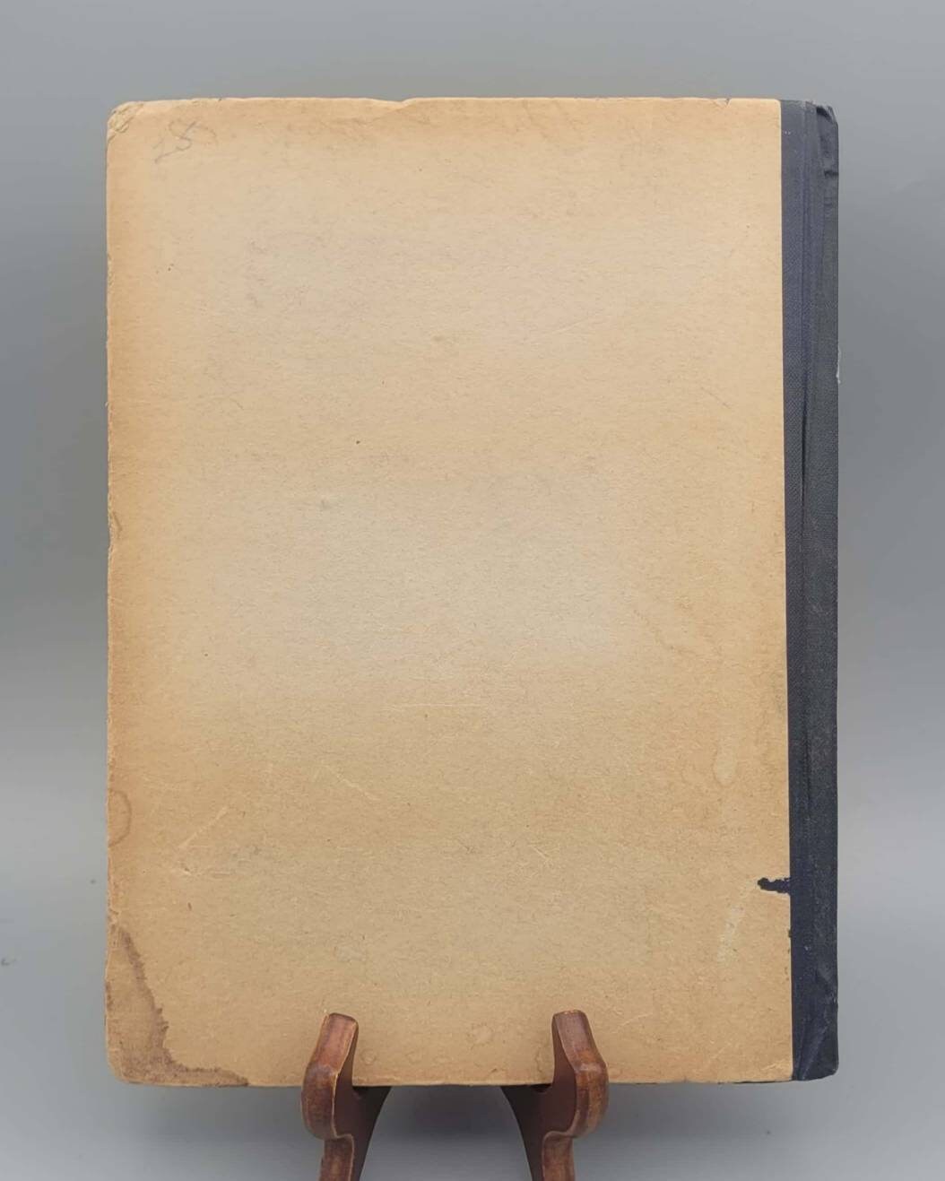 Mrs. Mollie Moore Davis, Bright Eyes, Vintage Illustrated Hardcover ...