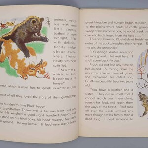 Lida, Bruin the Brown Bear, Rare Vintage 1st Edition Book W/ Dust ...