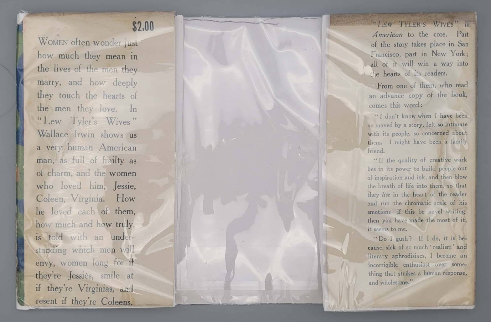 Wallace Irwin, Lew Tyler's Wives, Vintage 1st Edition Book W/ Dust ...