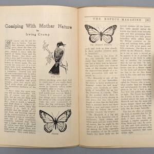 The Ropeco Magazine, August Issue, Vintage Illustrated Children's ...