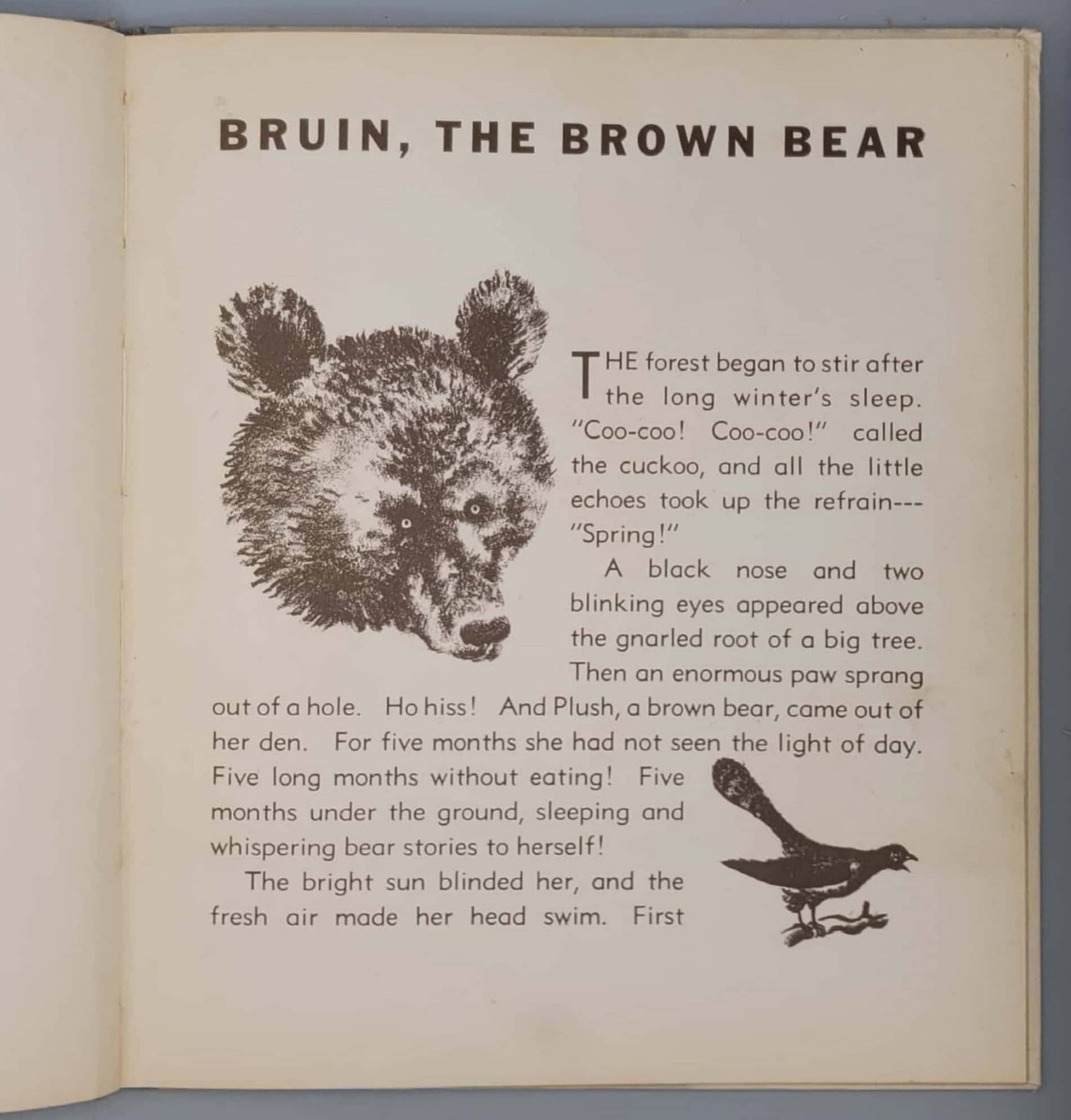Lida Bruin the Brown Bear Rare Vintage 1st Edition Book W/ - Etsy