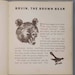 Lida, Bruin the Brown Bear, Rare Vintage 1st Edition Book W/ Dust ...