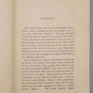 Wallace Irwin, Lew Tyler's Wives, Vintage 1st Edition Book W/ Dust ...