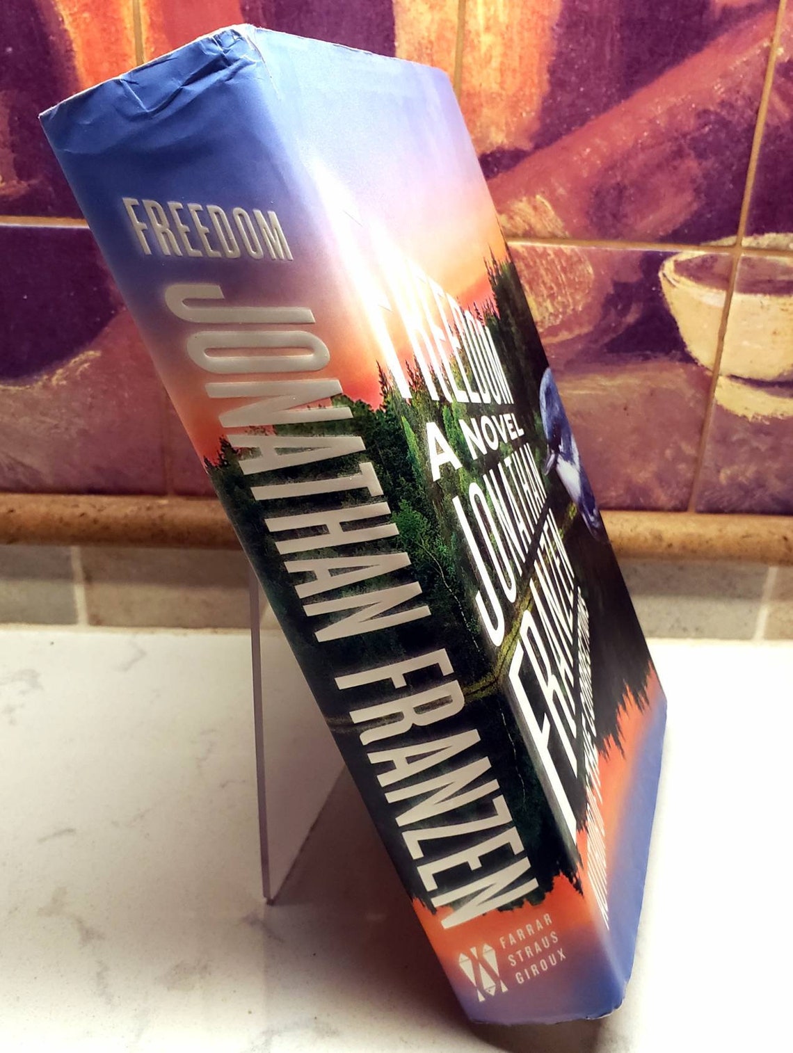 Jonathan Franzen, Freedom, 1st Edition Book W/ Dust Jacket 2010 - Etsy