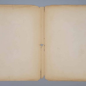 Lida, Bruin the Brown Bear, Rare Vintage 1st Edition Book W/ Dust ...