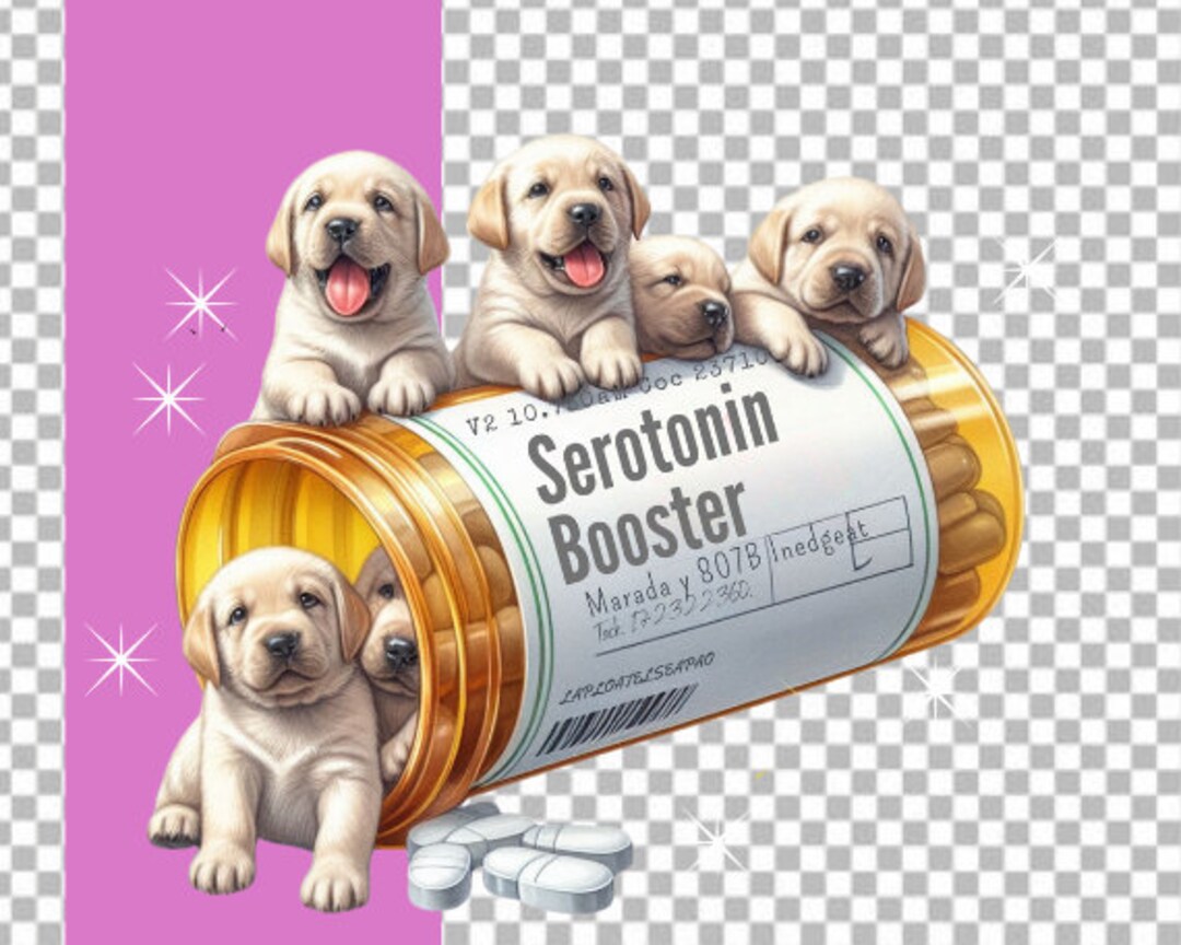 Serotonin Booster Dogs PNG File, Super Cute Artsy Creative Design for ...