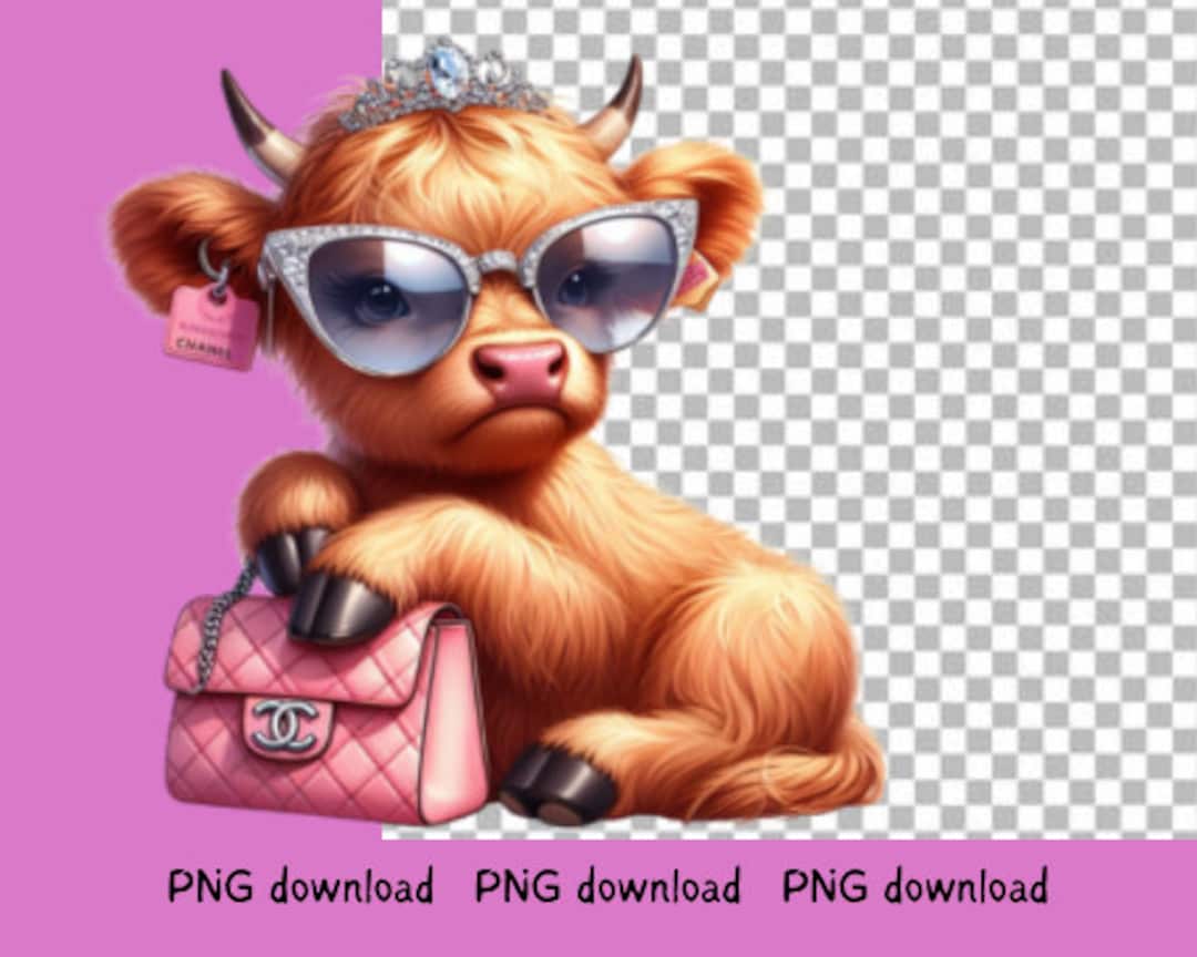 Influencer Highland Cow Png, Tiara Heifer SVG PNG, Highland Cow Png ...