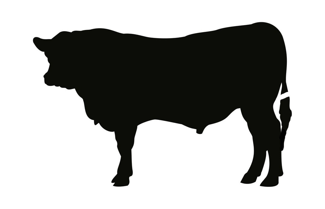 Bull Stencil Made From 4 Ply Mat Board-choose a Size-from 5x7 to 24x36 ...
