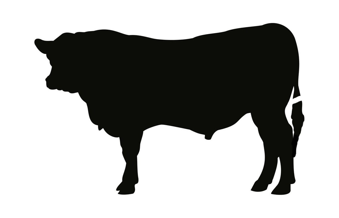 Bull Stencil Made From 4 Ply Mat Board-choose a Size-from 5x7 - Etsy