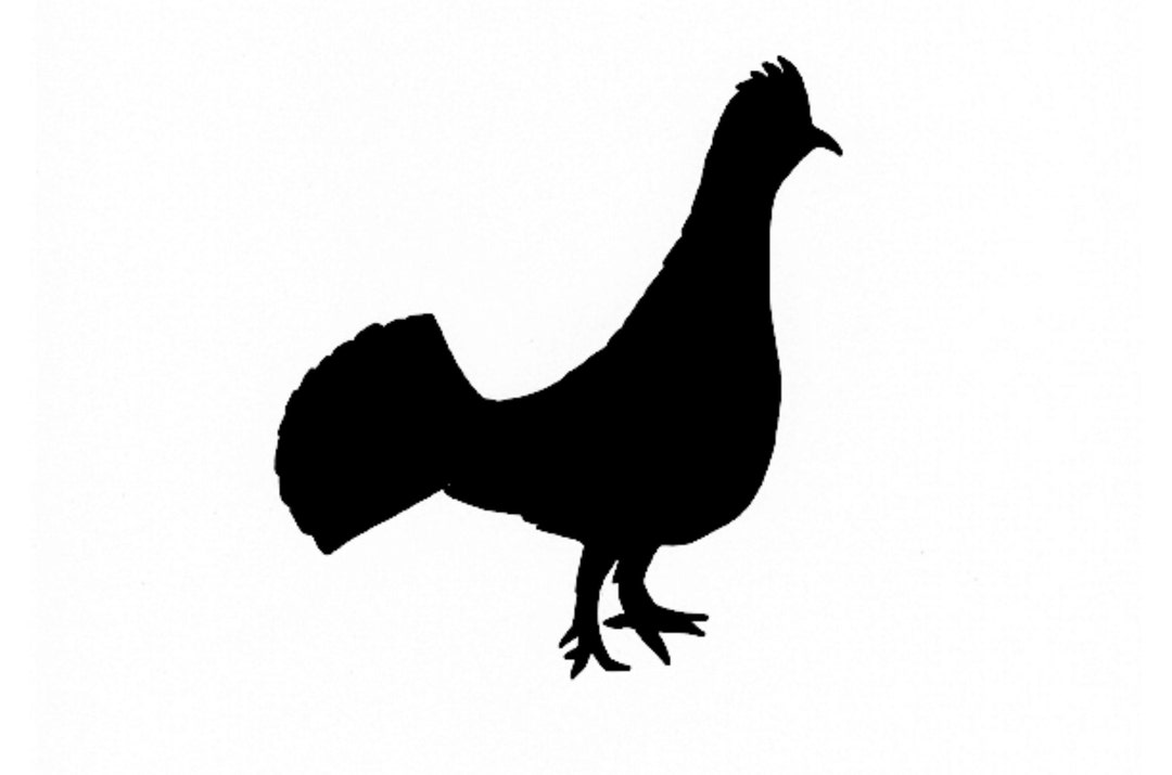 Ruffed Grouse Style 2 Stencil Made From 4 Ply Mat Board-choose a Size ...