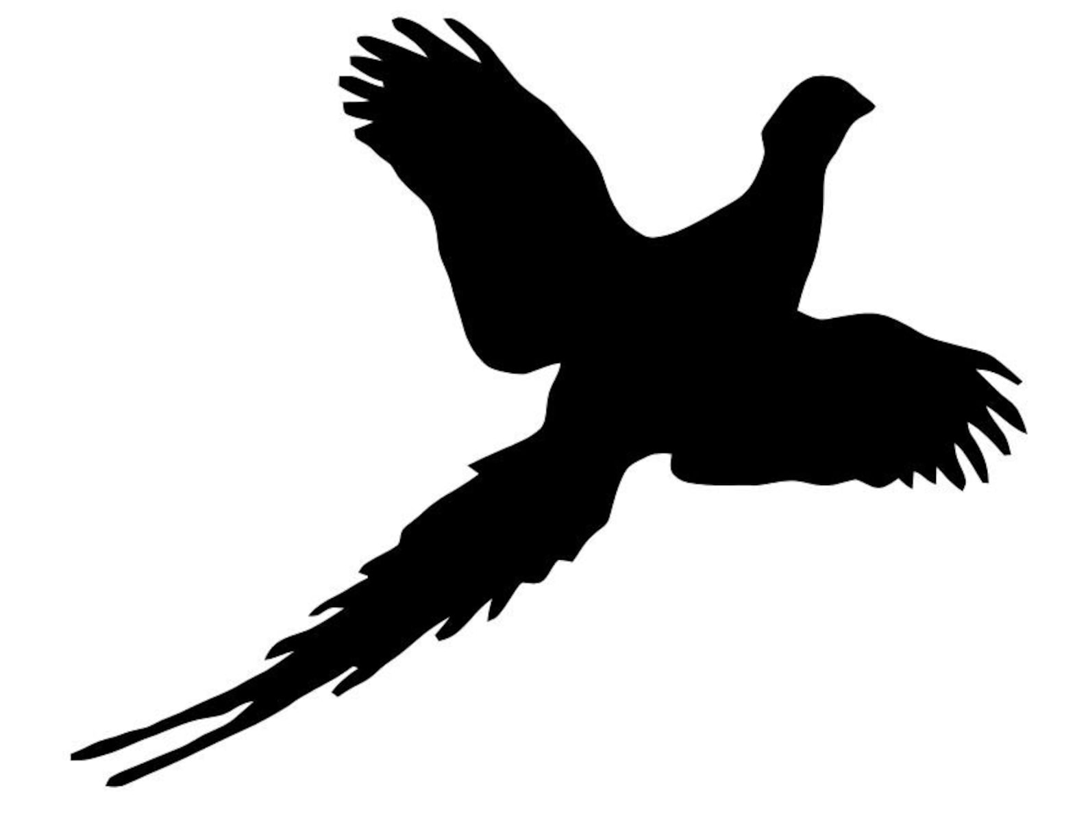 Pack of 3 Flying Pheasant Stencils, 16x20, 11x14 and 8x10 Made From 4 ...
