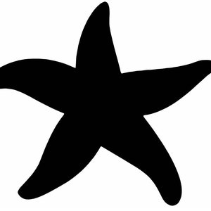 Pack of 3 Starfish Stencils Made From 4 Ply Mat Board 11x14 - Etsy
