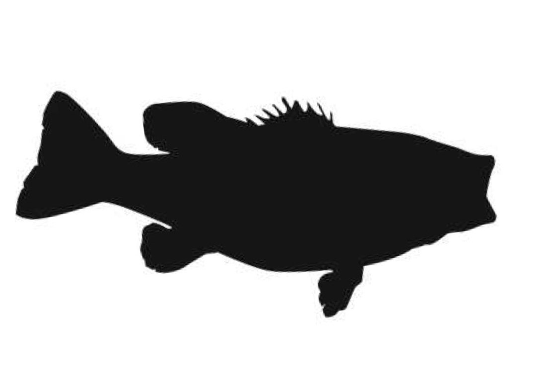 Largemouth Bass Stencil Made From 4 Ply Mat Board-choose a Size-from ...