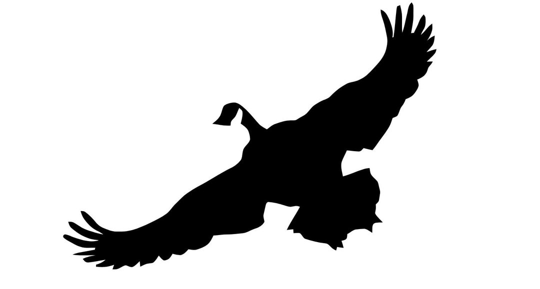 Flying Grouse Stencil Made From 4 Ply Mat Board-choose a Size-from 5x7 ...