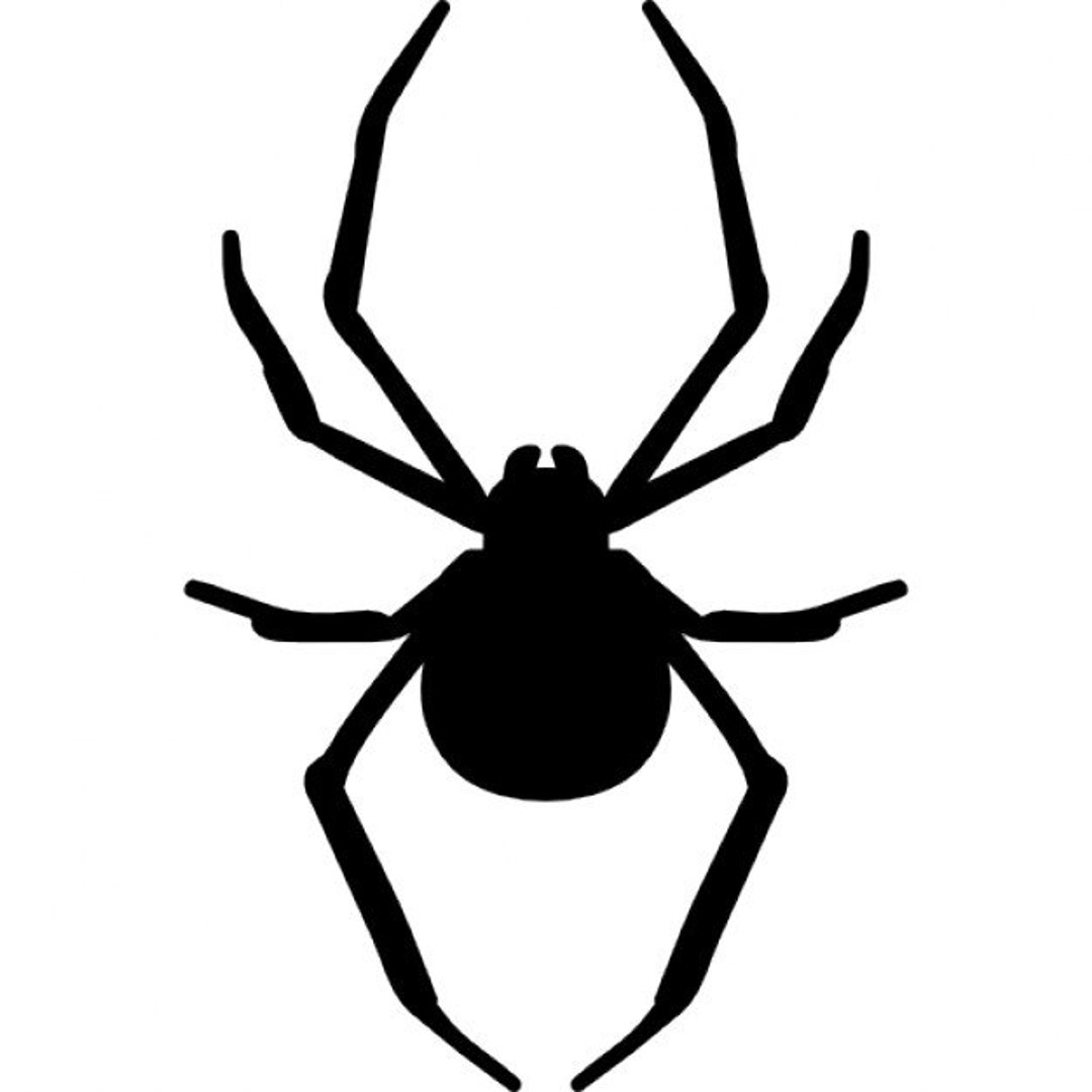 Spider Stencil Made From 4 Ply Mat Board-choose a Size-from 5x7 to ...