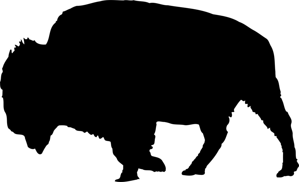Bison Stencil Made From 4 Ply Mat Board-choose a Size-from 5x7 to 24x36 ...
