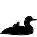 Loon Stencil Made From 4 Ply Mat Board-choose a Size-from 5x7 to 24x36 ...
