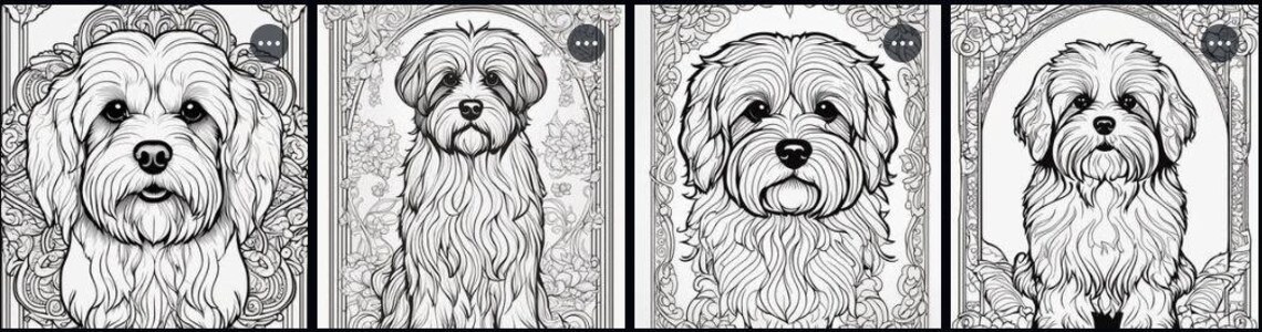 Set of 4 Havanese Coloring Pages - Etsy